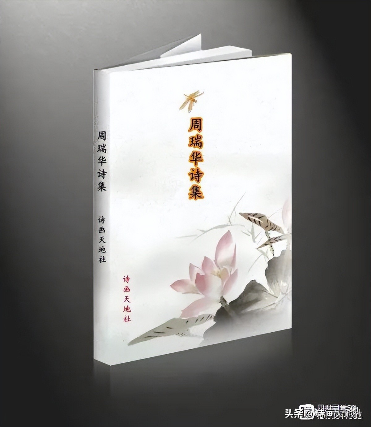 Excellent signed poet Zhou Ruihua (Fu Rui) "Poems Album" (Part 1) - iNEWS