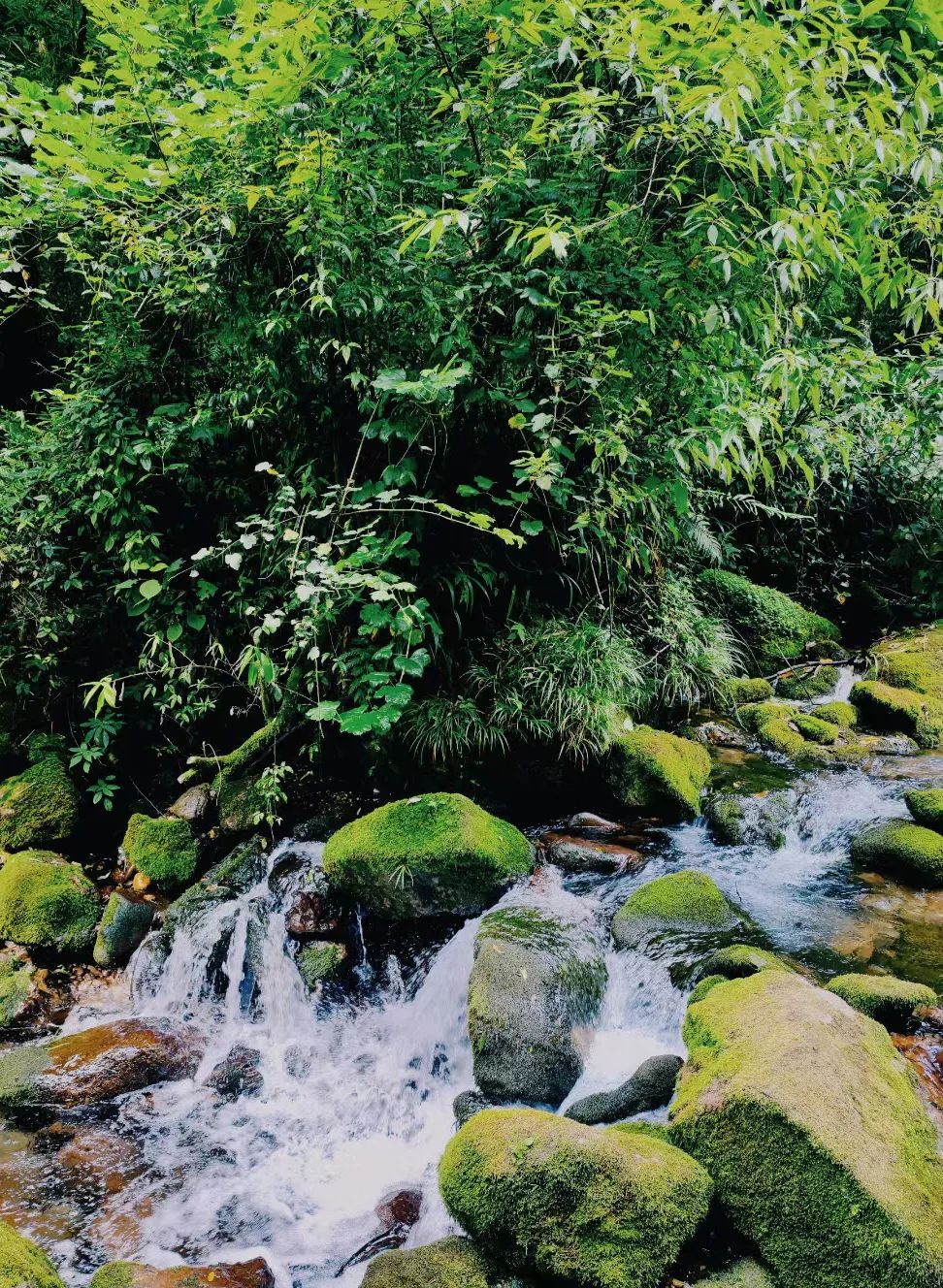 To the west of Chengdu, it's great to play in the water to escape the ...