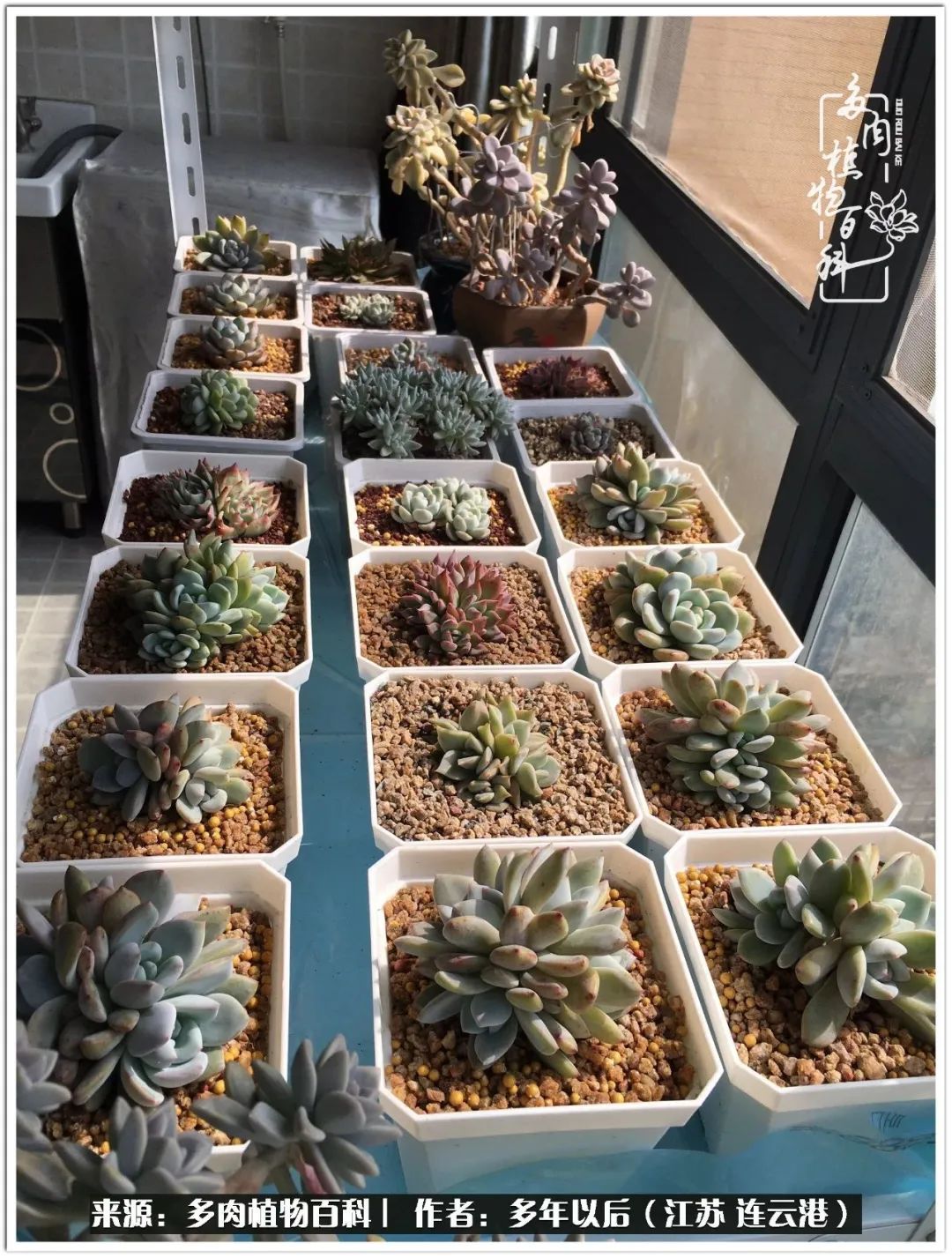 Two Years in the Pit: Meeting you is just the beginning of the story ...