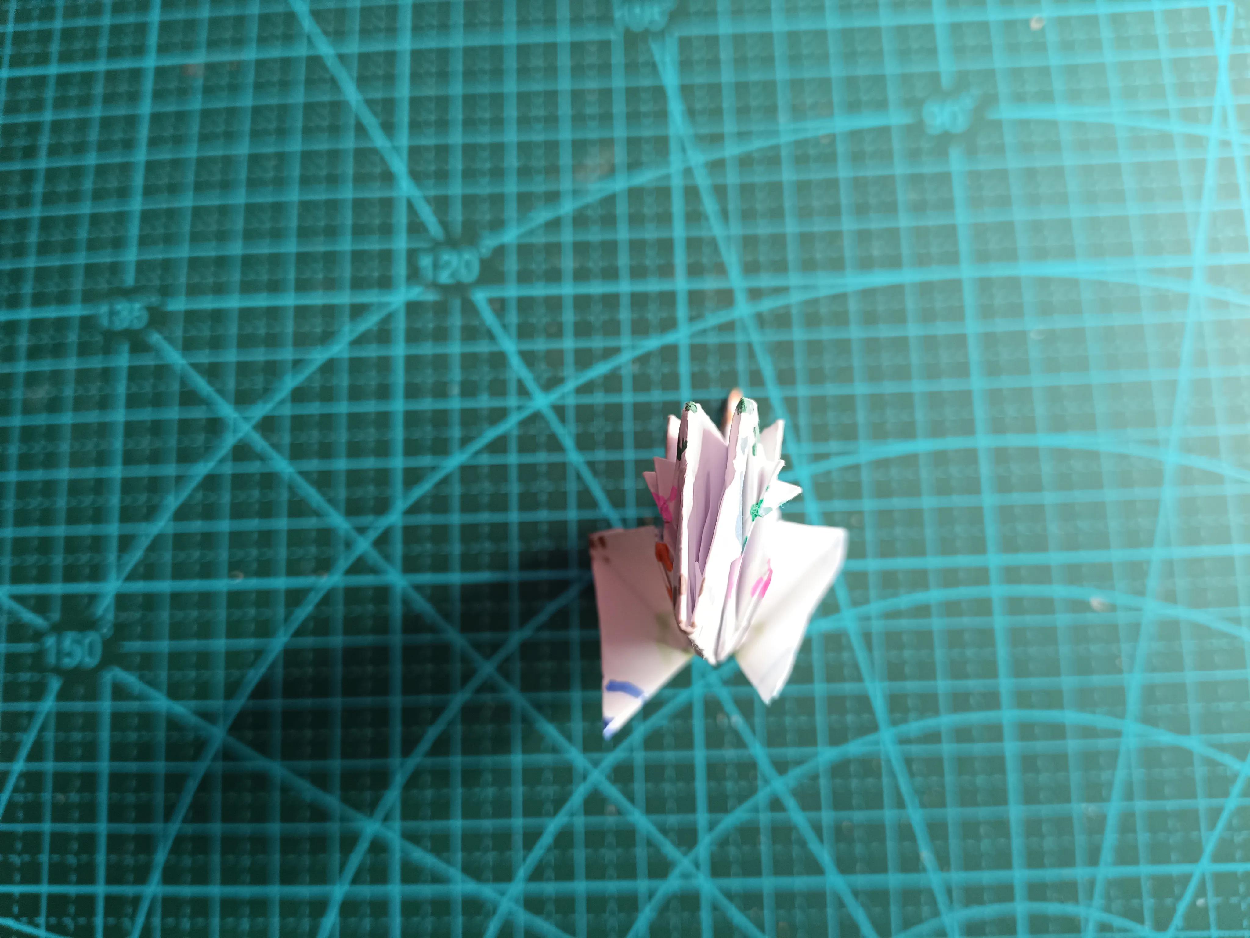 Deformed parrot human form six-eared macaque - iNEWS