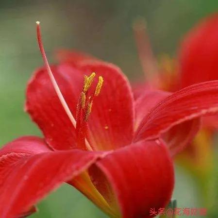 Take the time to shape yourself - iNEWS