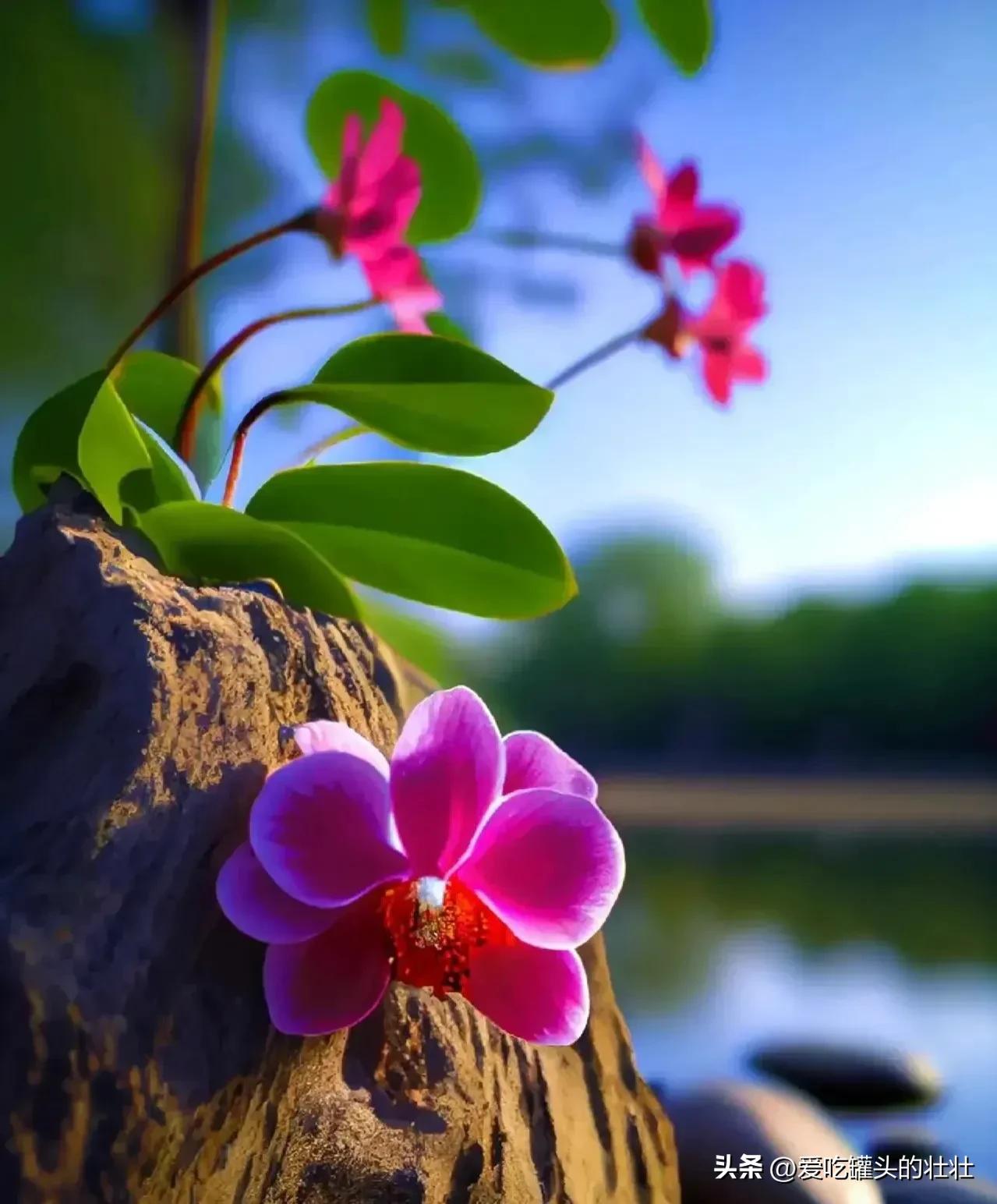 The top masters are all doing things according to human nature and ...