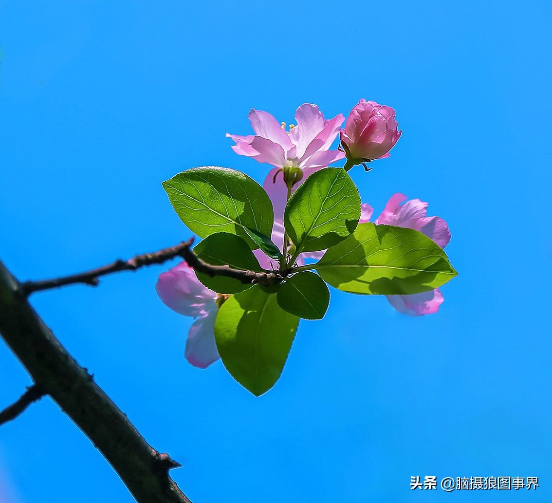 Why are your photos not transparent?You should find the reasons from ...