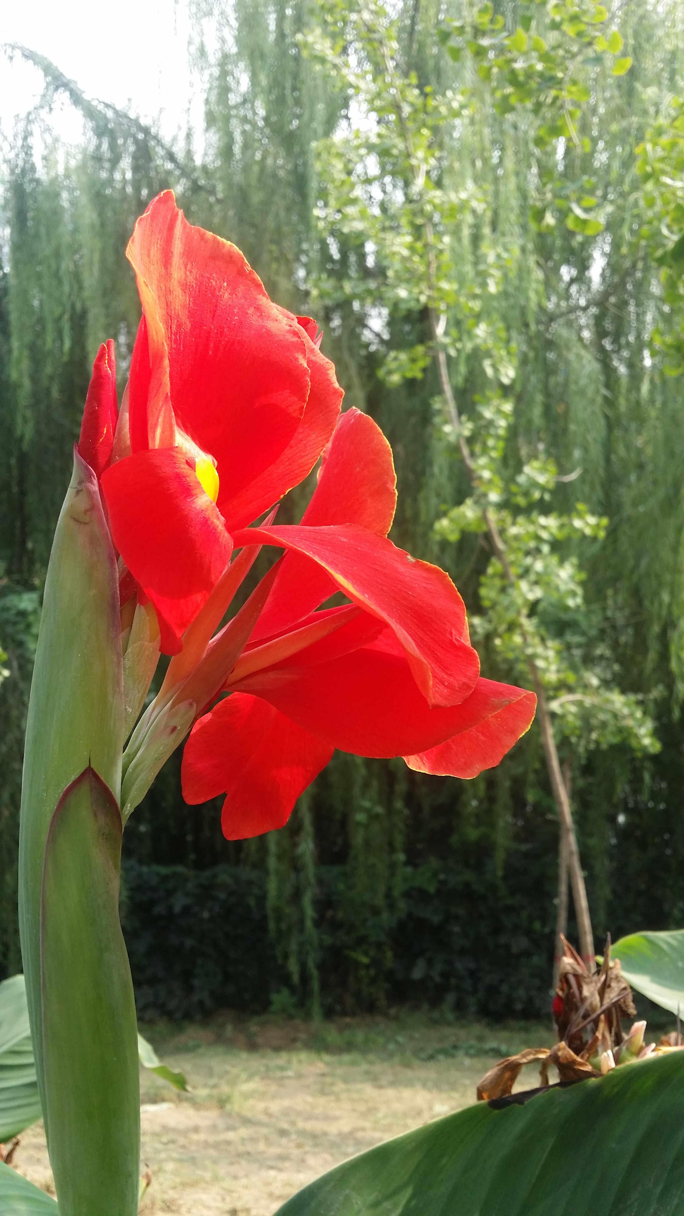 Kong Ming: Liu Guang easily throws people away - iNEWS