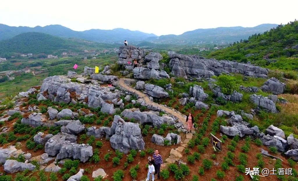 Fuhou Shuangfeng Fu - iMedia