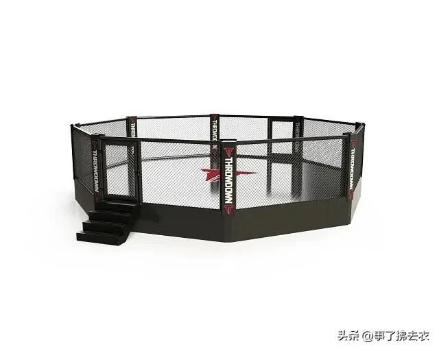 "In the Octagonal Cage": A Unique Exploration of Life Directed and ...