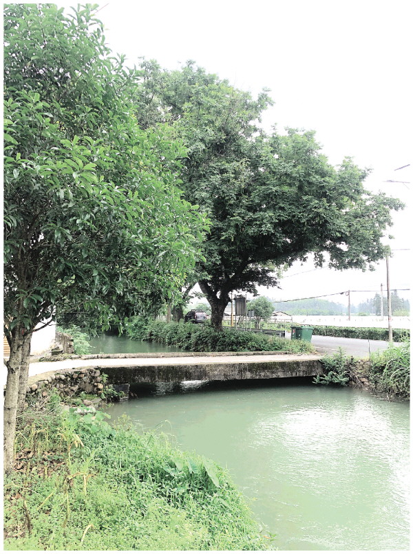 The Story of Zhao Tuo, Nanyue Kingdom and Guilin - iMedia