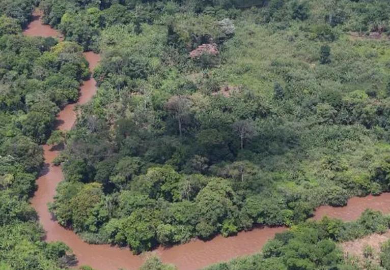 Geological conditions of the Congo Basin, impact on biodiversity and ...