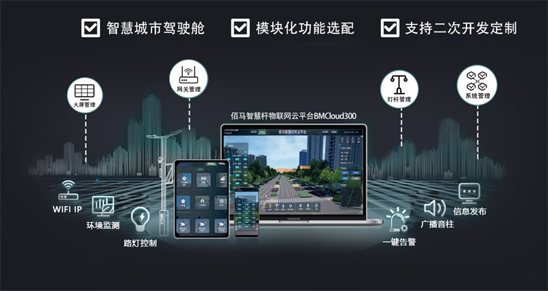 What are the functional modules of the smart pole cloud platform and ...