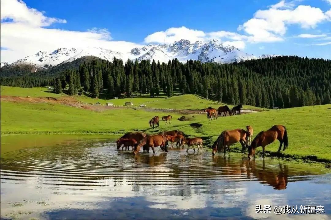 Use my tortuous life to sing and paint the colors of Kazakh - iNEWS