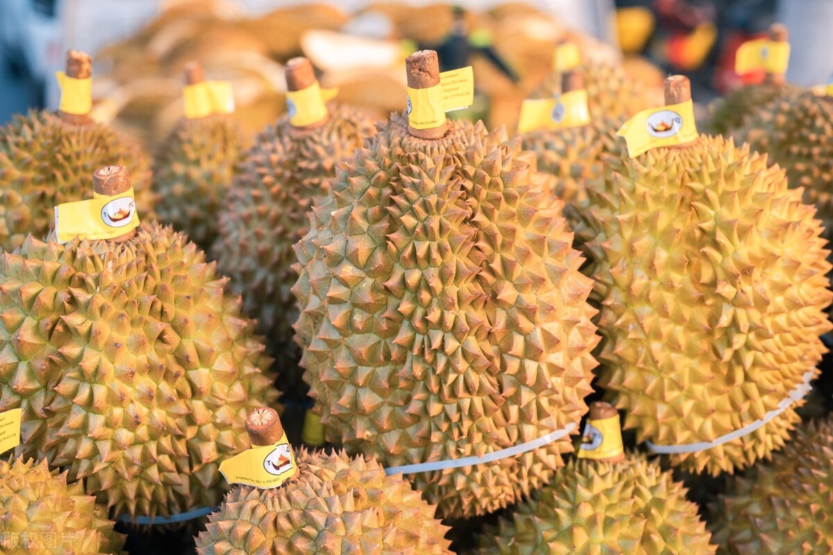 After Thailand and Vietnam, Philippine durian is coming!"Durian Freedom ...