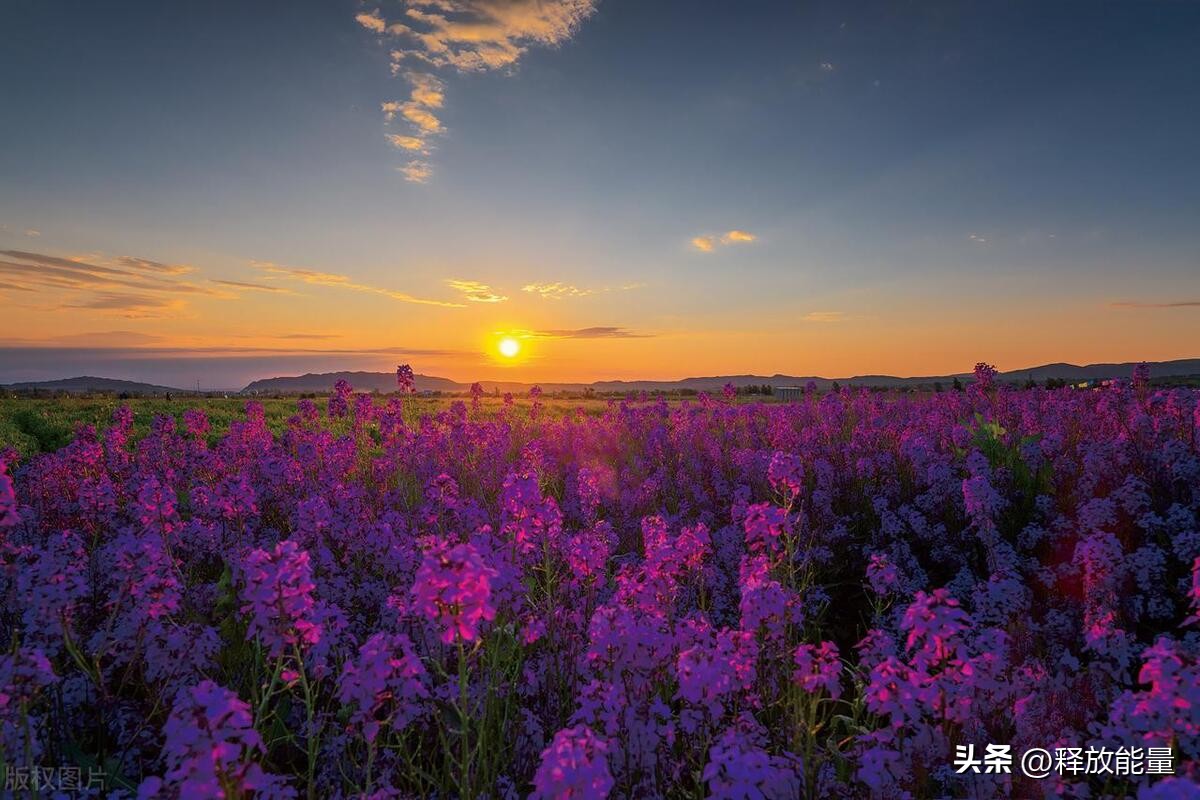 Knowing more makes Zhiming clear, knowing wisdom increases - iNEWS