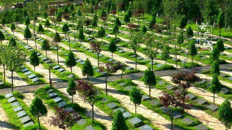 Burial spaces are changing ancient funeral customs, and "tree burials ...