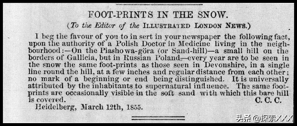 Some strange animal or a mysterious natural phenomenon?The Mystery of ...