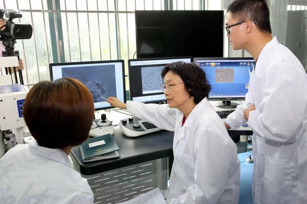 Wang Yingjun, academician of the Chinese Academy of Engineering: Let Chinese biomaterials go to ...