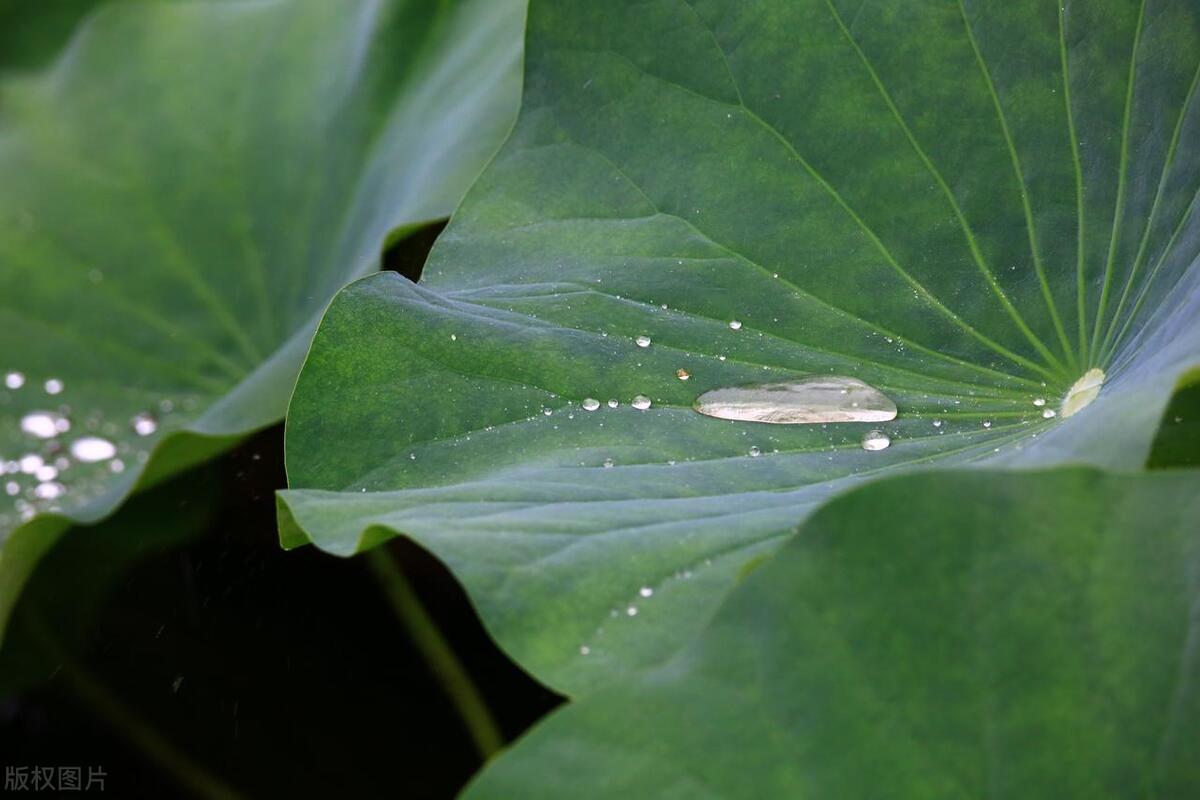 After reading the 3 sentences of Master Hongyi, you will no longer have ...