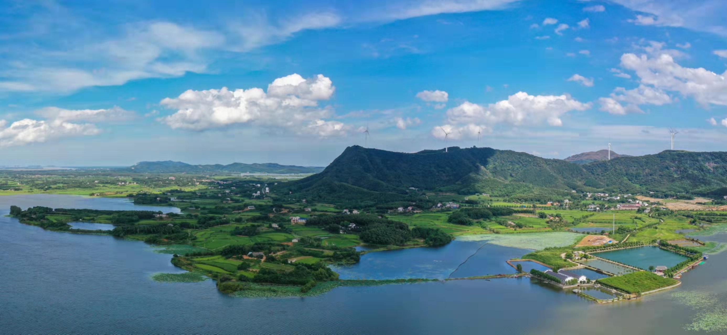 The origin of Dai Juhua's "Mystery of Shishou Mountain" - iNEWS