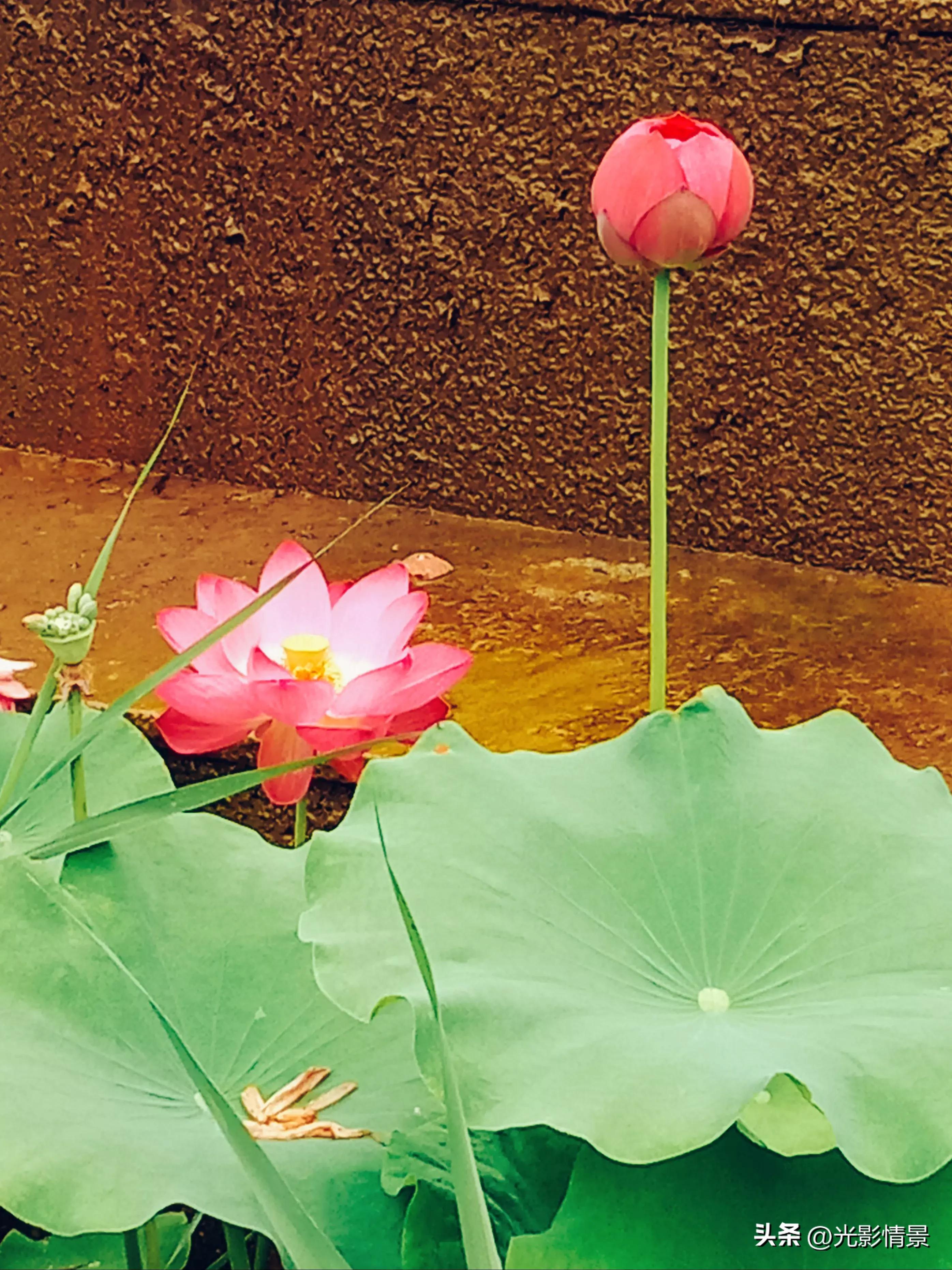 learn self-discipline - iMedia