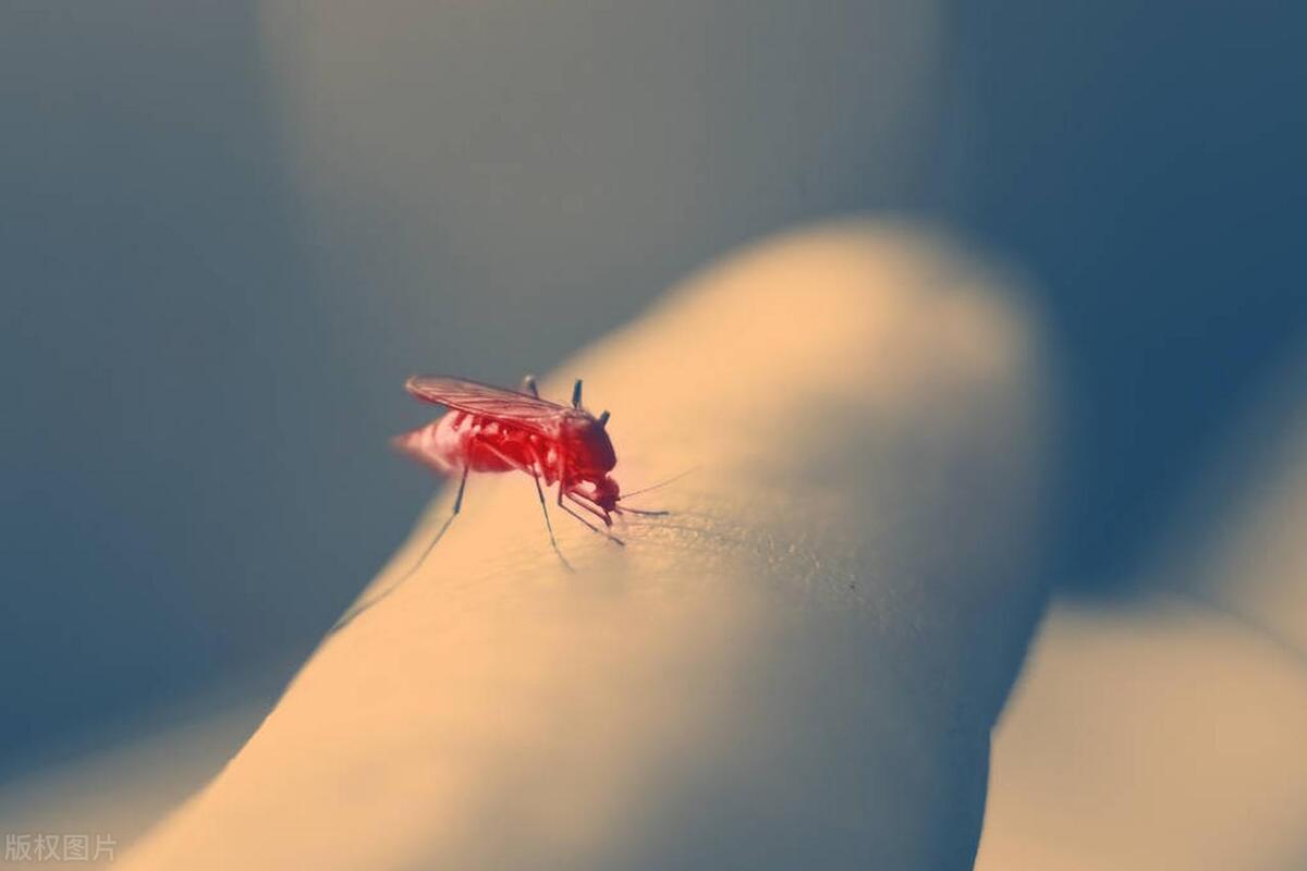 How to implement precise strikes on mosquitoes? What efforts have ...