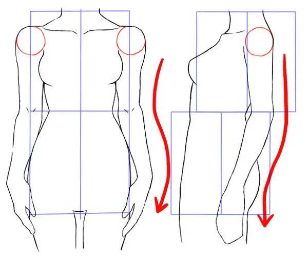 How to draw shoulders and arms of anime characters - iNEWS