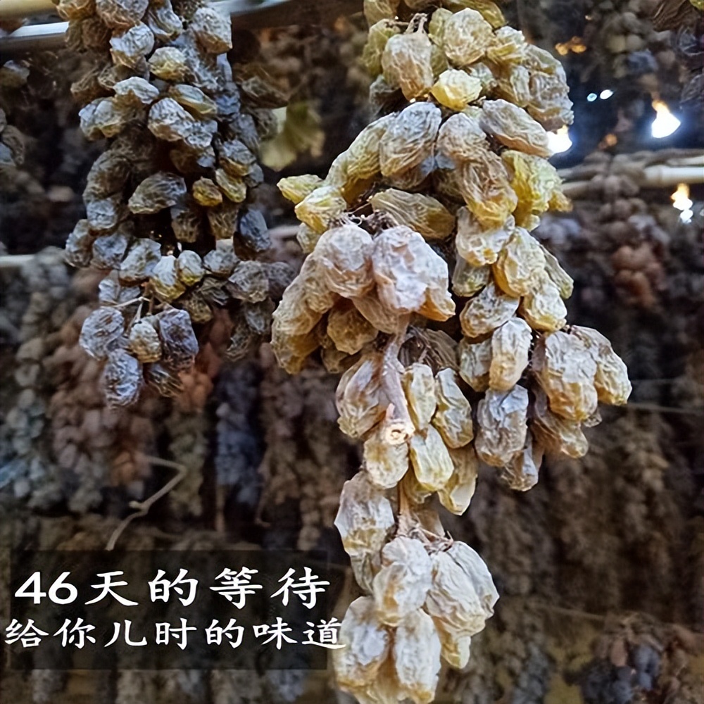 Turpan grapes are ripe, it turns out that this is how they are sun ...