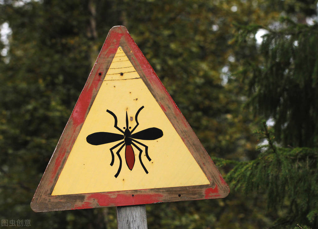 Where are the countries with the most mosquitoes and no mosquitoes? - iNEWS