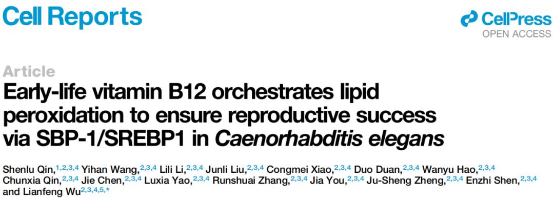 The decisive role and molecular mechanism of VB12 in early life on ...