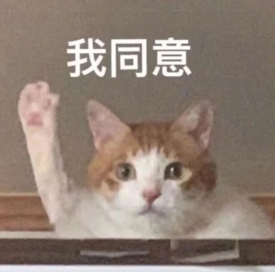 Wear these 4 high-level colors to show white in summer - iMedia