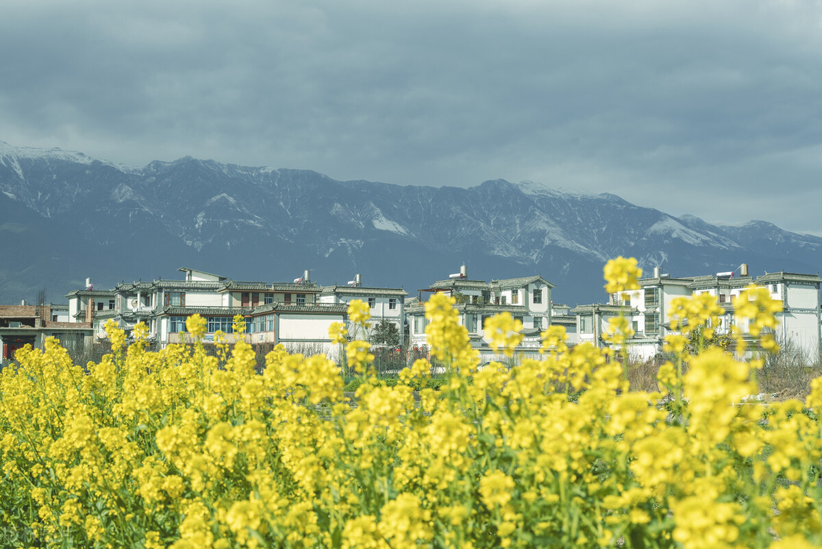 What to do in Yunnan in spring? These 8 spring outing destinations ...