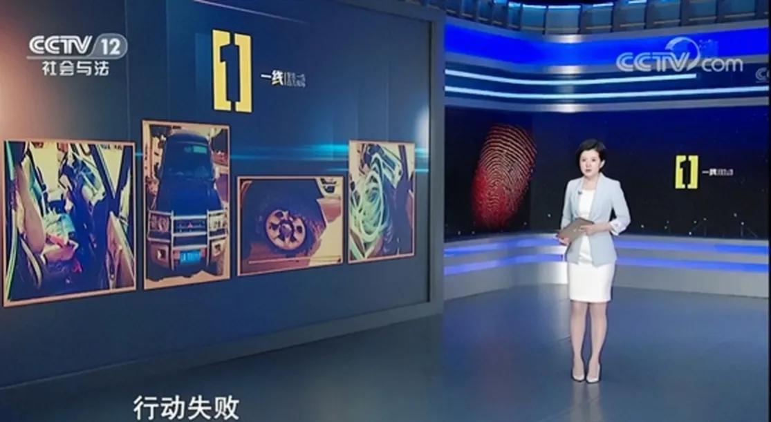 Lu Chen: A Rare CCTV Beauty - iMedia