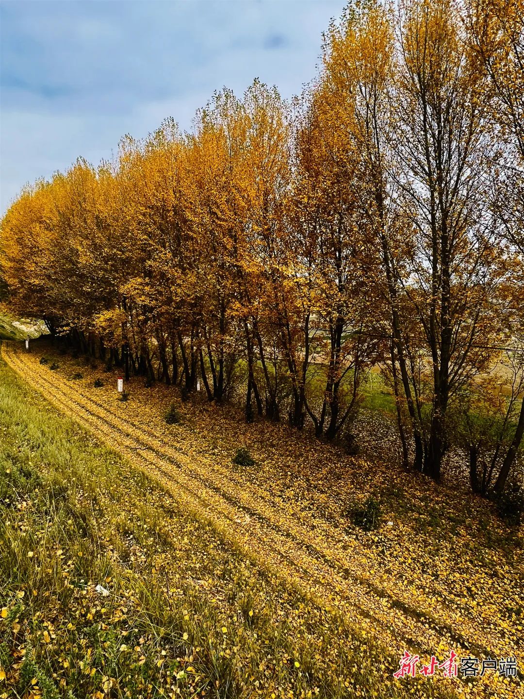 What is Longxi? - iNEWS