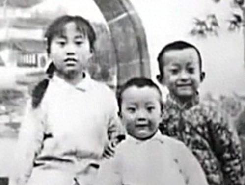 The causes and consequences of Li Yugang's suicide by jumping into the ...