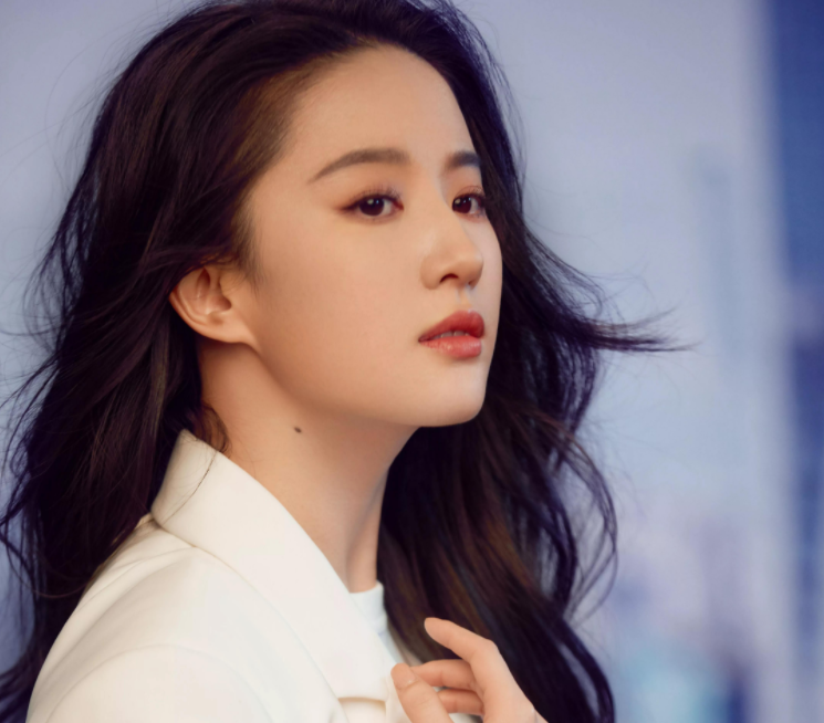 "Fairy Mother" Liu Xiaoli: I give up my career for love and my family ...