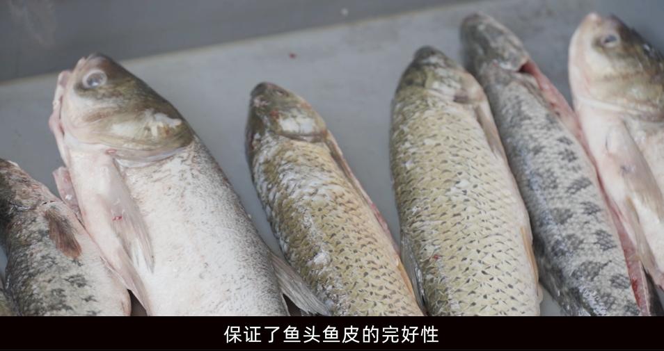The "fish-killing artifact" made in Jingzhou is worth having in ...