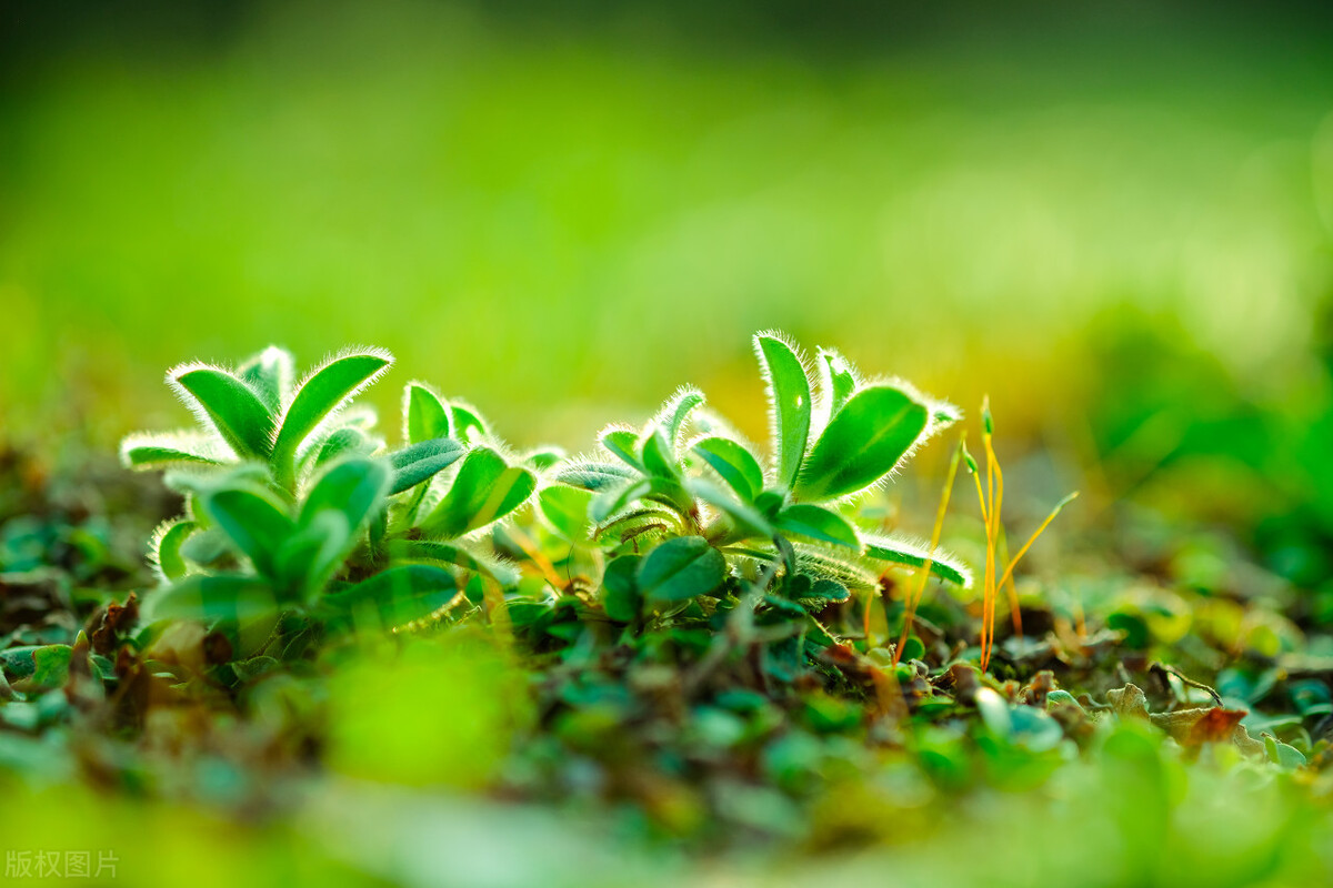 "The Enlightenment of Zeng Guofan": To change destiny, start from correcting shortcomings - iNEWS