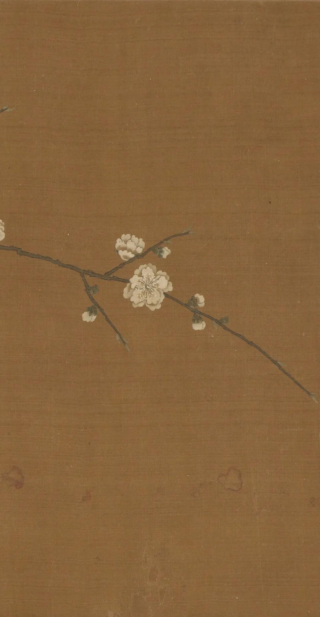 Appreciation of Xu Xi's paintings "Plum Blossom Kingfisher" and ...