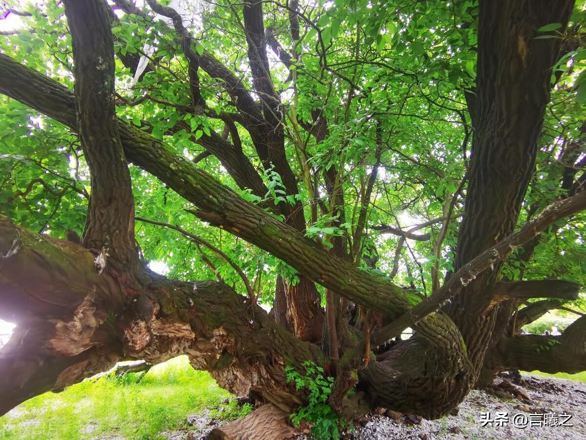 The widely circulated founding emperor Liu Xiu of the Eastern Han ...