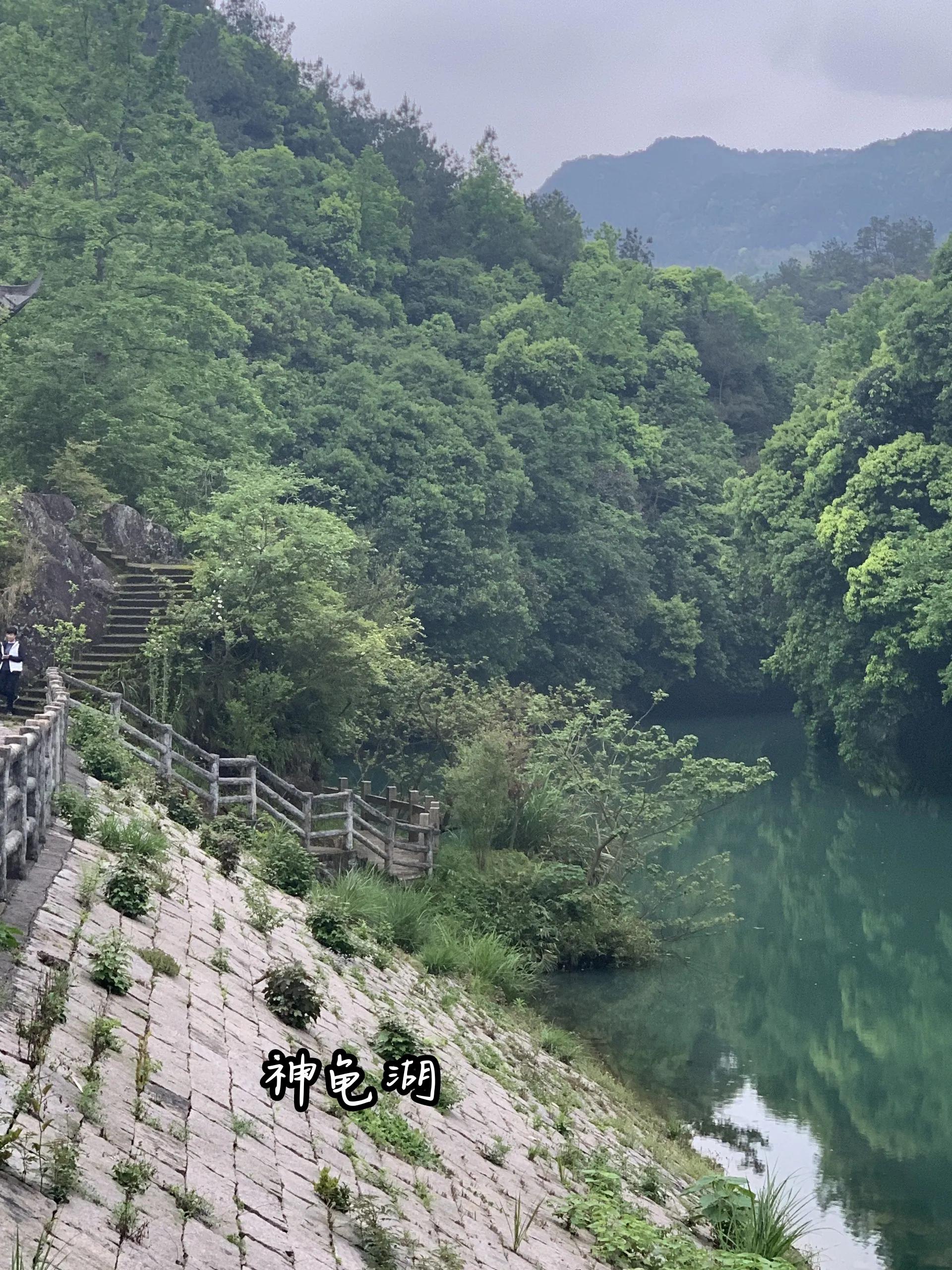 "Rui'an Jiuzhu Lake" is a Taoyuan wonderland hidden in a deep mountain ...