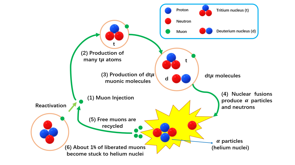 Can nuclear fusion in the Ark reactor come into reality? - iNEWS
