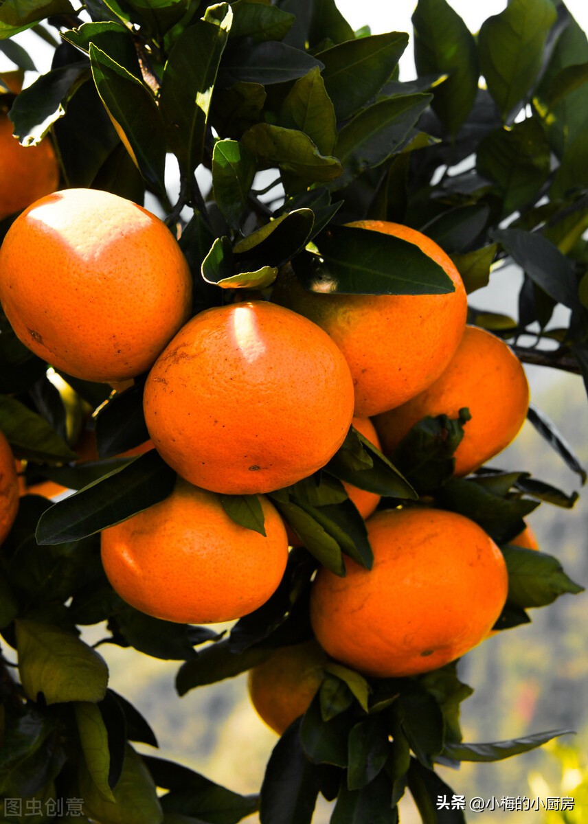 Teach you five wonderful uses of orange peel - iNEWS