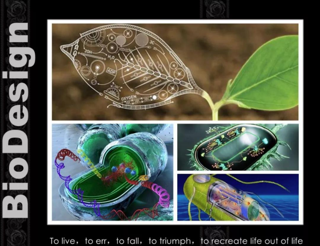 The Origin of Life: Through the Hand of God, Synthetic Biology Explores ...