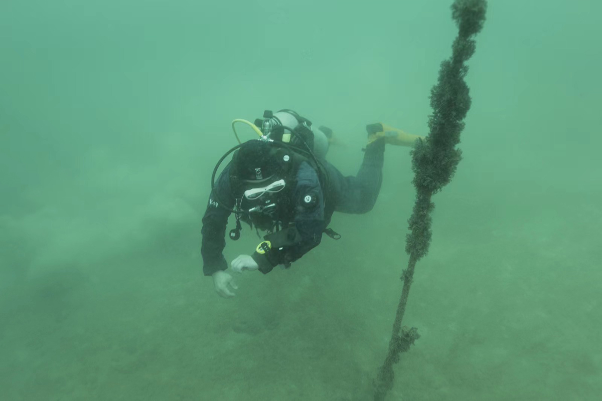 The diver's positioning and communication equipment "underwater ...