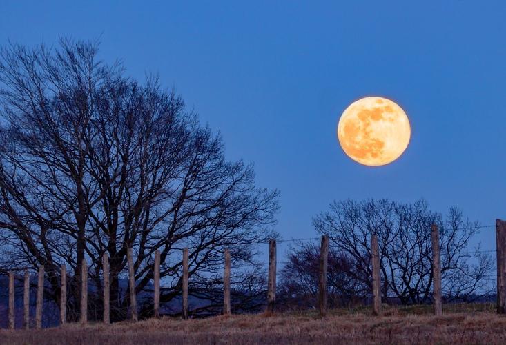 why the moon has different shapes - iMedia