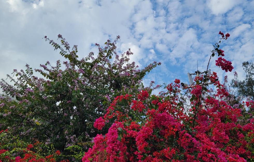 10 Relaxing Poems After Reading, Each Adds Coziness and Poetry to Life ...