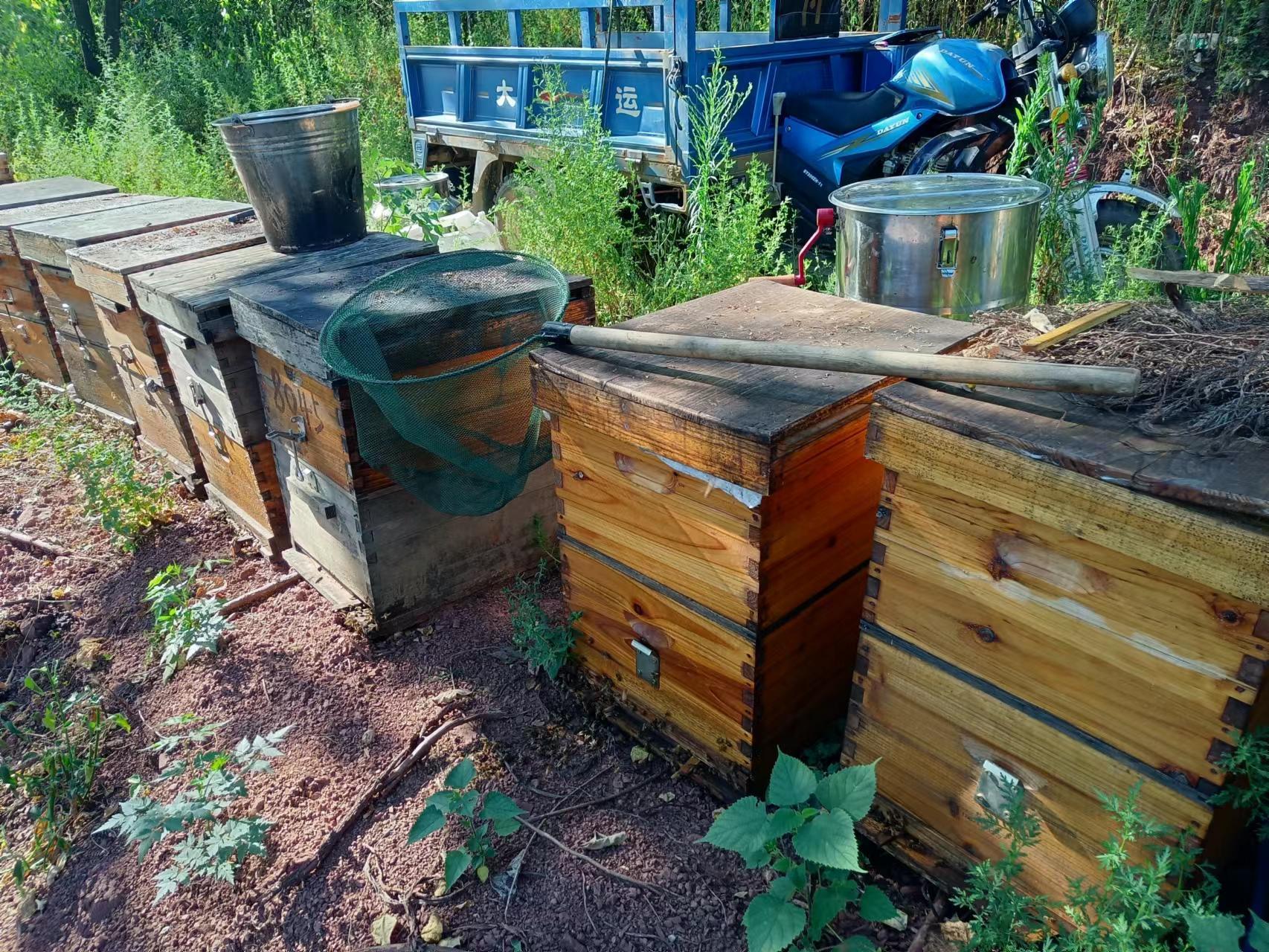 Is it inconvenient to transfer bee colonies in batches during the day ...