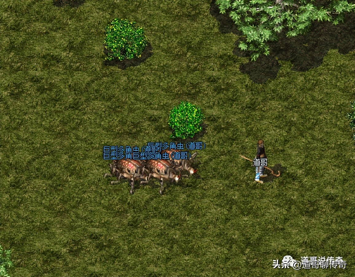Legend of Blood: Tiger Guardian is very strong, why are few mages ...