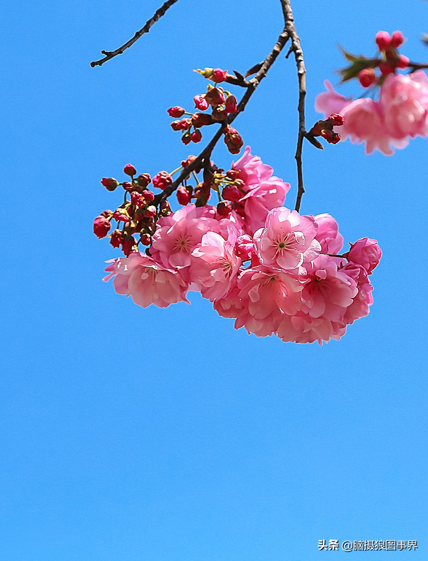 Why are your photos not transparent?You should find the reasons from ...