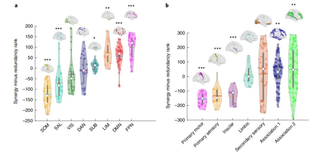 Why are humans so smart?Because the human brain is better at ...