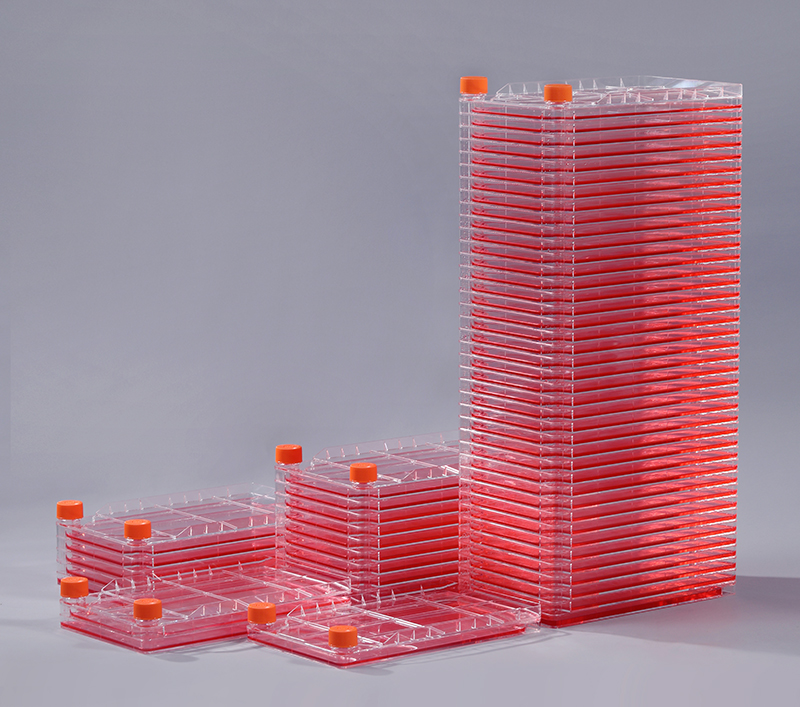 Application of cell shaker flask in liquid culture of Saddleae alba - iNEWS