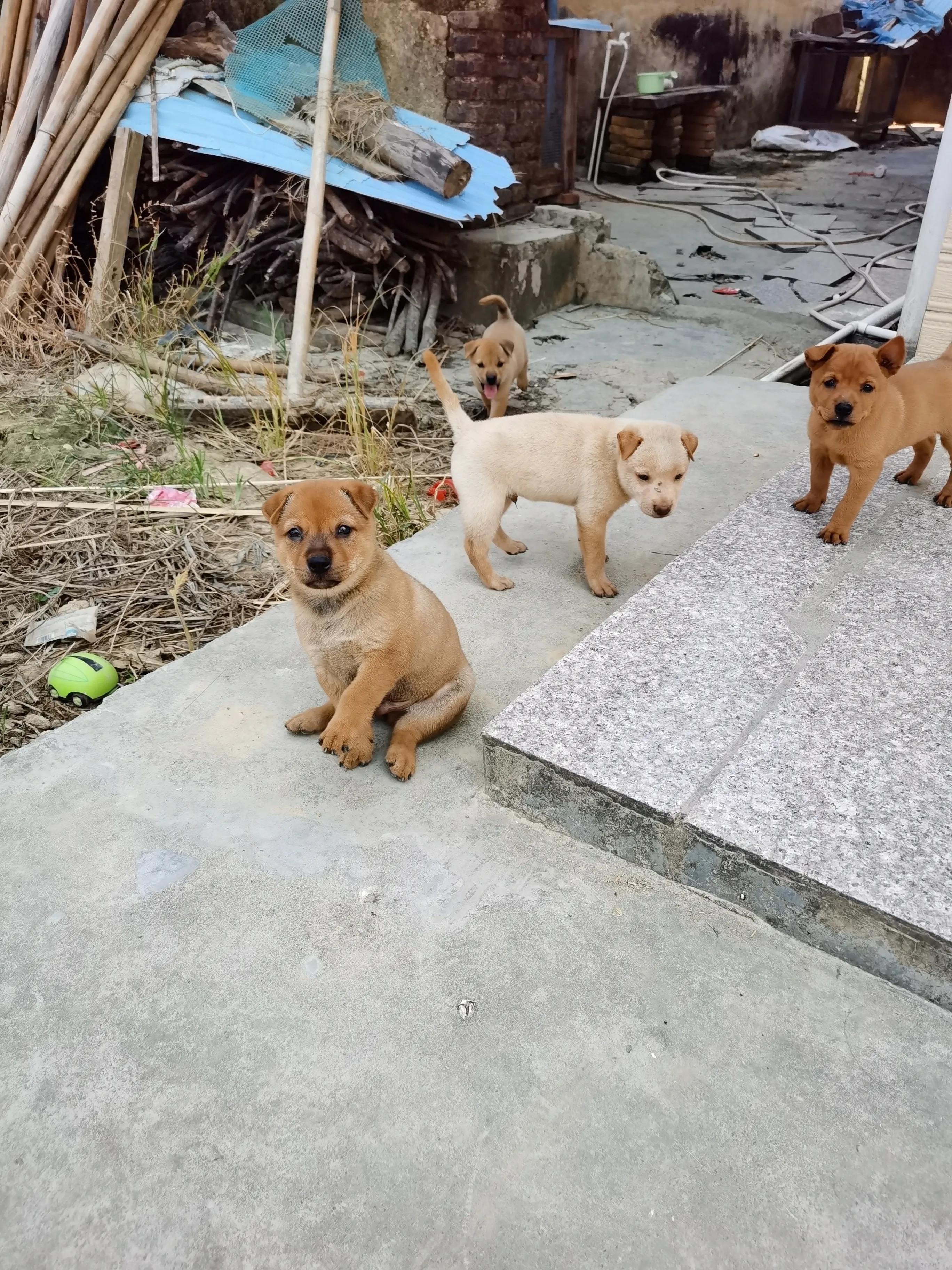 Quantum tangle everything goes well - iNEWS